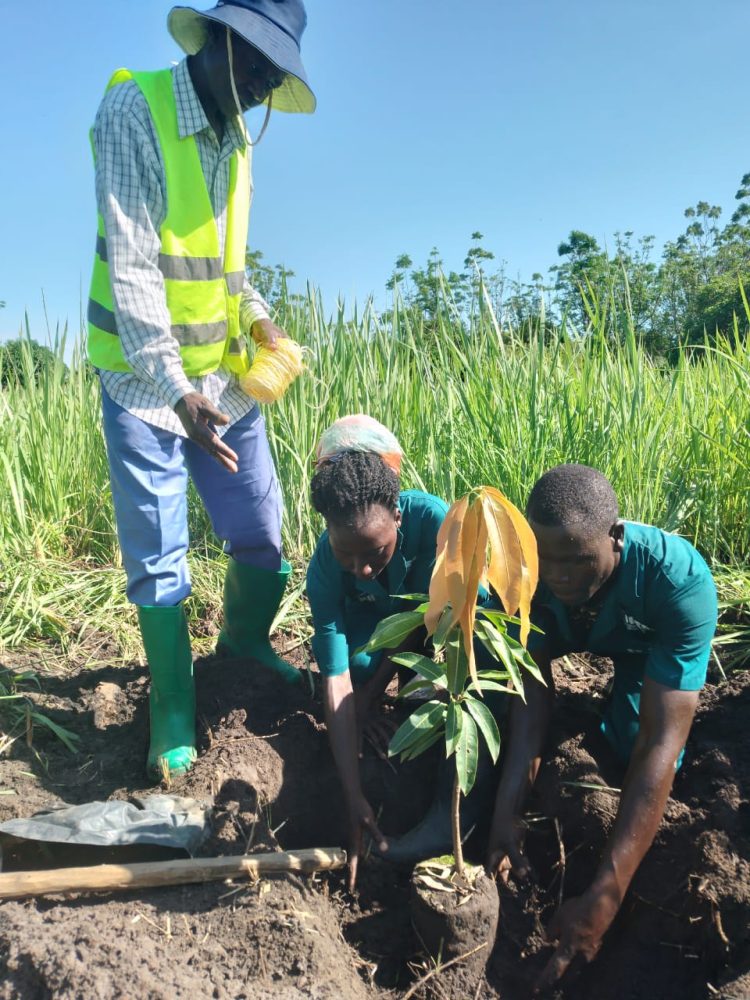 WPDI Trains a New Group of Female Youth Peacemakers in Climate Smart ...